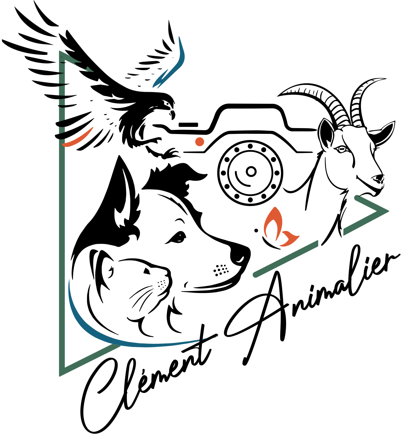 Animalier audiovisuel avec Clément Fournier, préparation au tournage